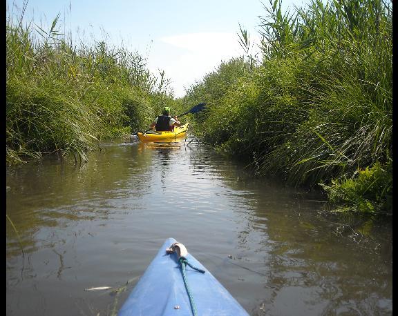 UISP - Padova - Escursioni in kayak!